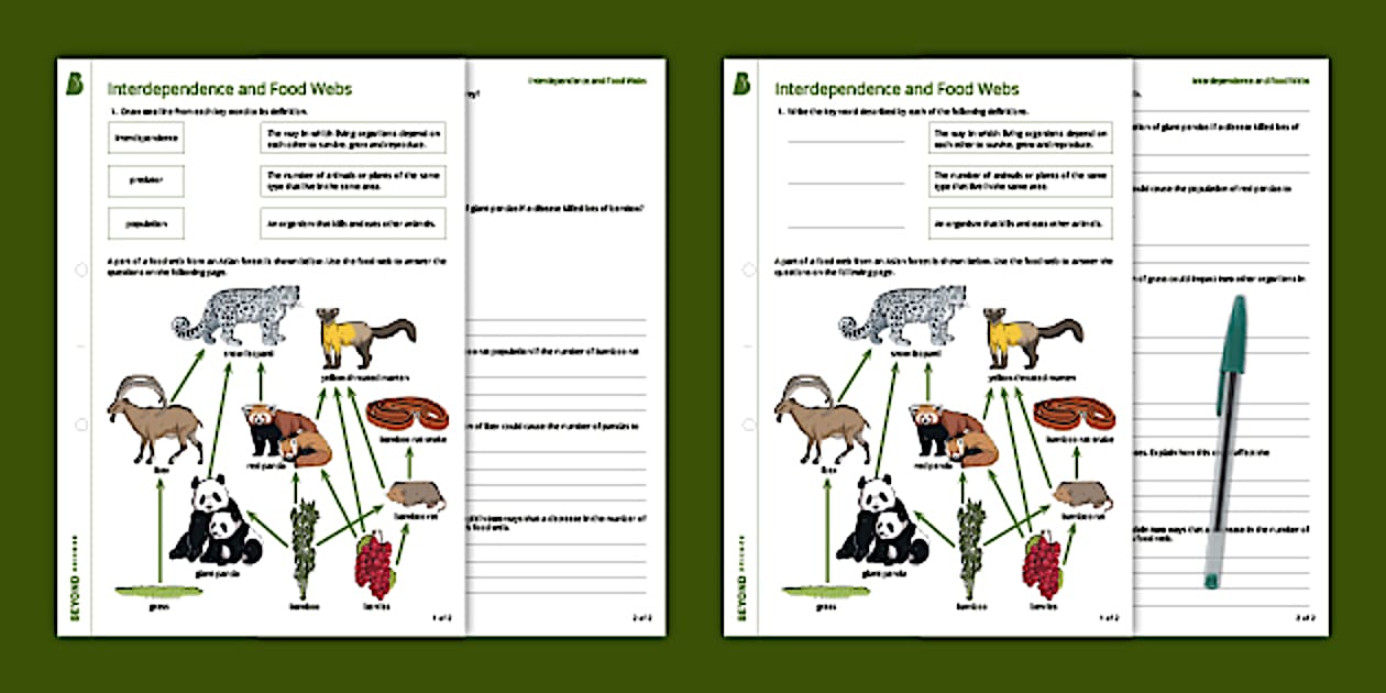 KS3 Interdependence and Food Webs Worksheet | Beyond Science