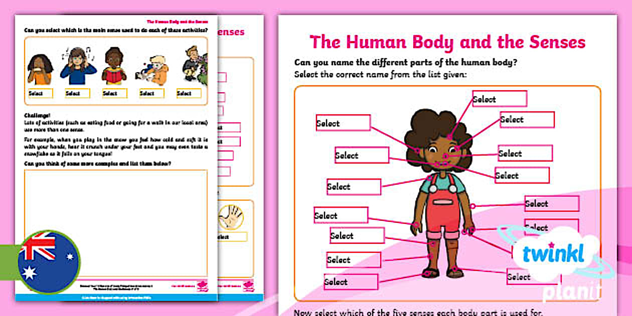 Year 1 Science Features Living Things Interactive Activity 1