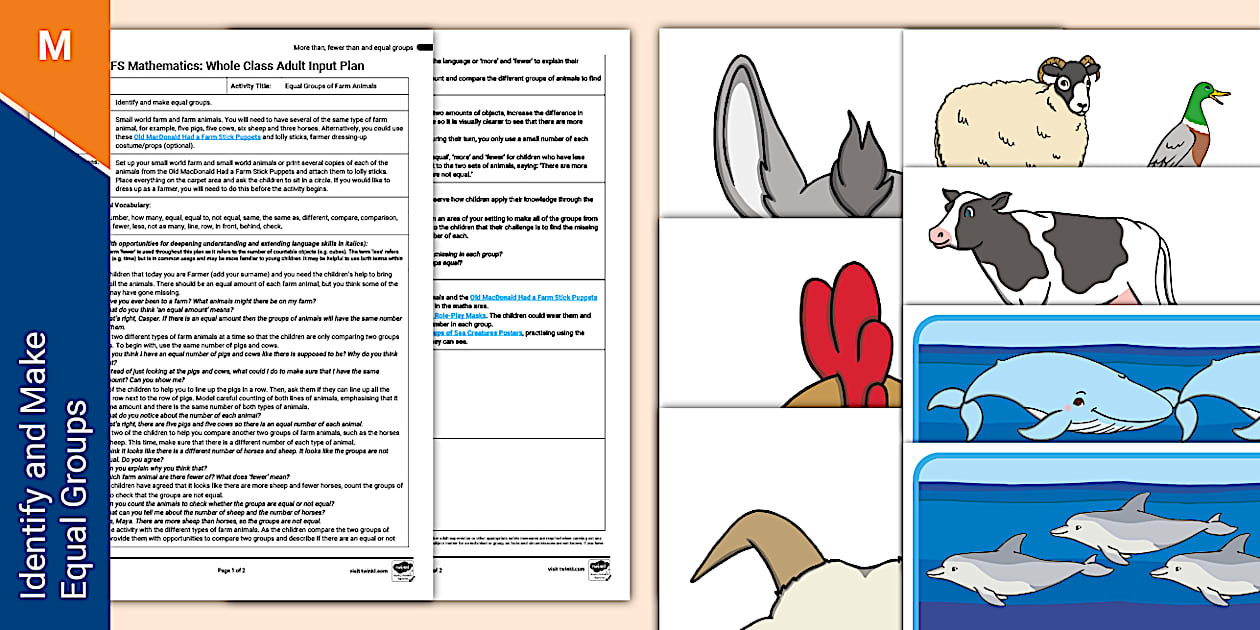 EYFS Maths Equal Groups Class Activity Adult Input Plan