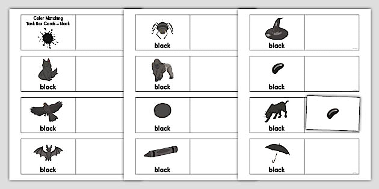 Color Matching Task Box Cards-Black (Lehrer gemacht)