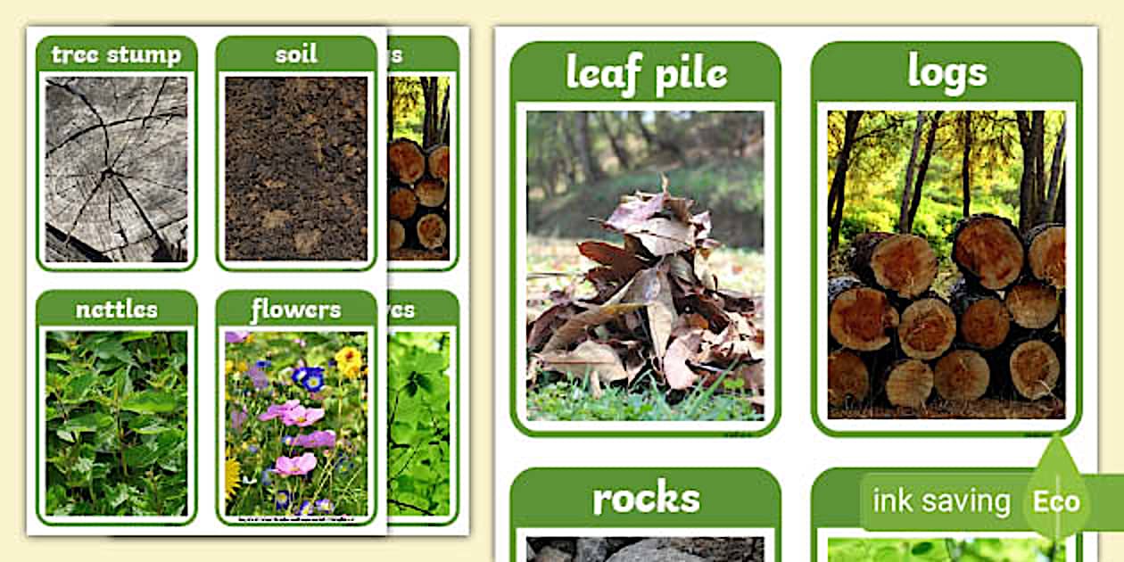 Minibeasts Habitats Display Photos (teacher made) - Twinkl