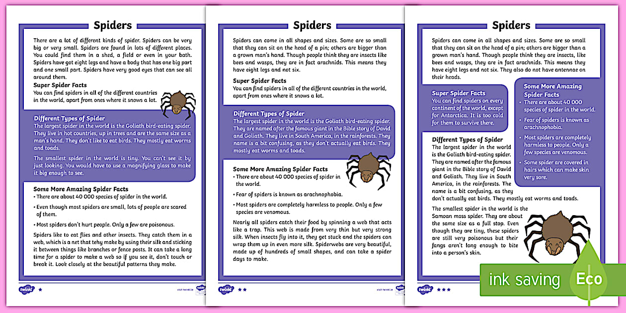 Spiders English Passage Reading Comprehension Activity