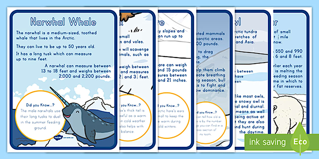 Arctic Animals Posters (Teacher-Made) - Twinkl