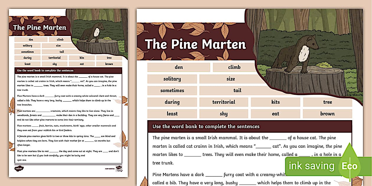 Pine Marten Cloze Procedure (teacher made) - Twinkl
