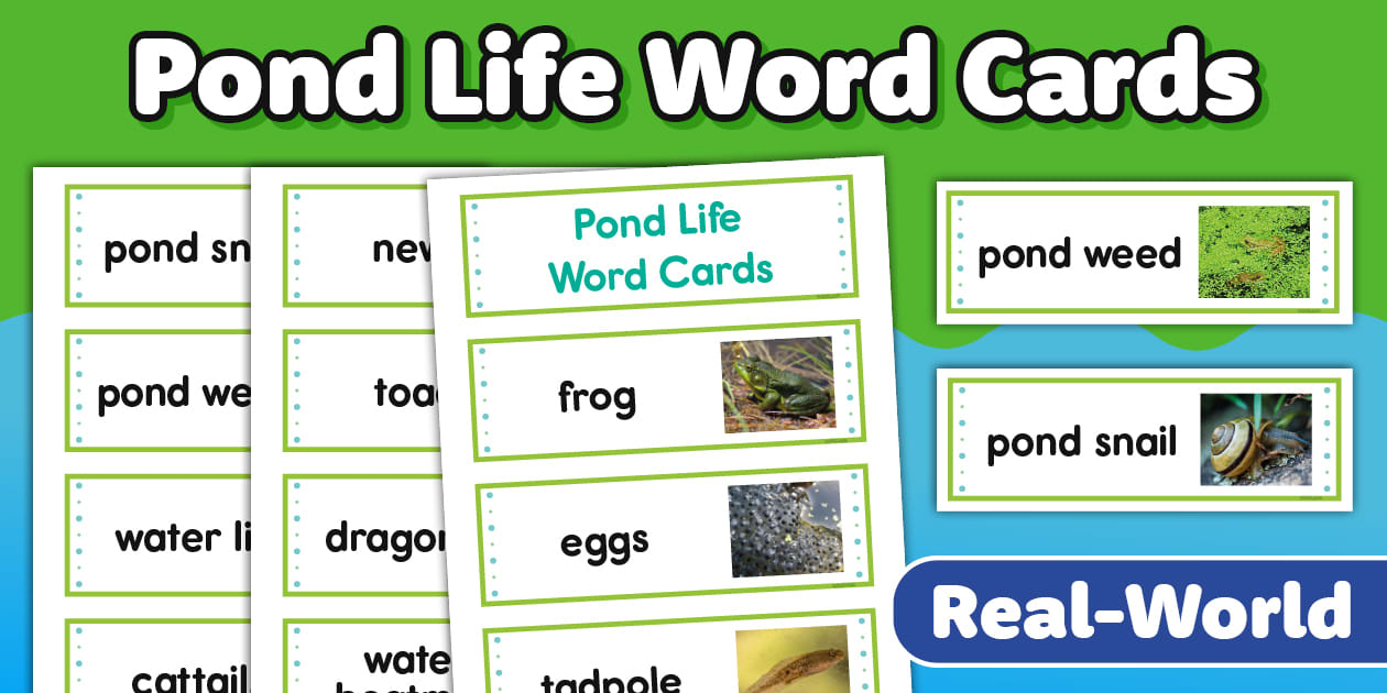Pond Life Word Cards