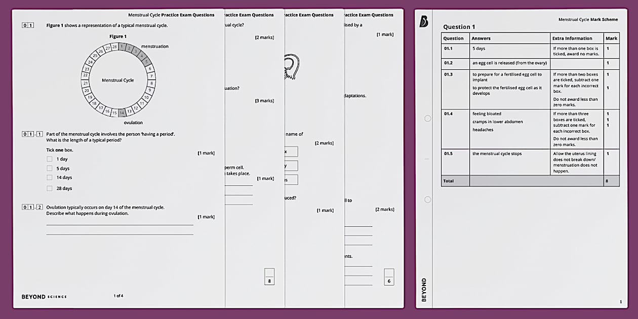 KS3 Menstrual Cycle Practice Exam Questions - Twinkl