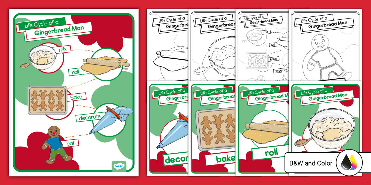 Life Cycle of a Gingerbread Man Sequence Posters