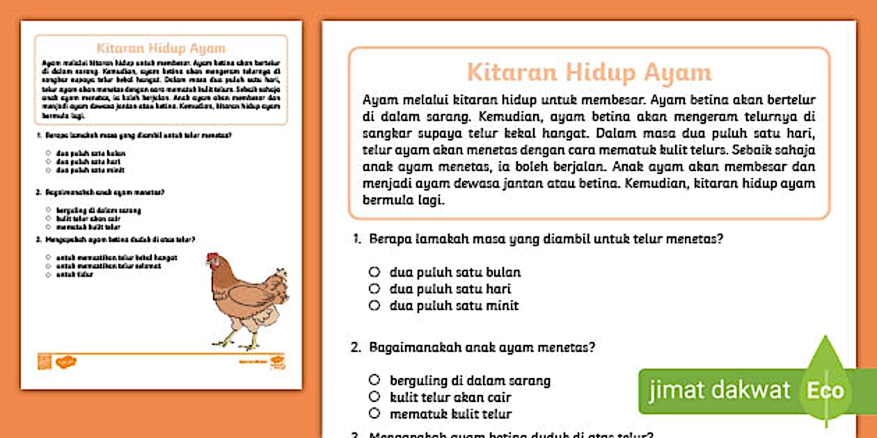 Soalan Bahasa Melayu Tahun 1 Pemahaman: Kitaran Hidup Ayam
