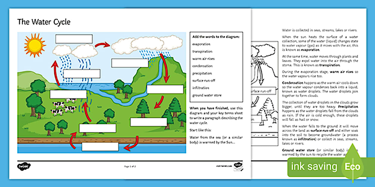 Editable The Water Cycle Worksheet (Hecho por educadores)