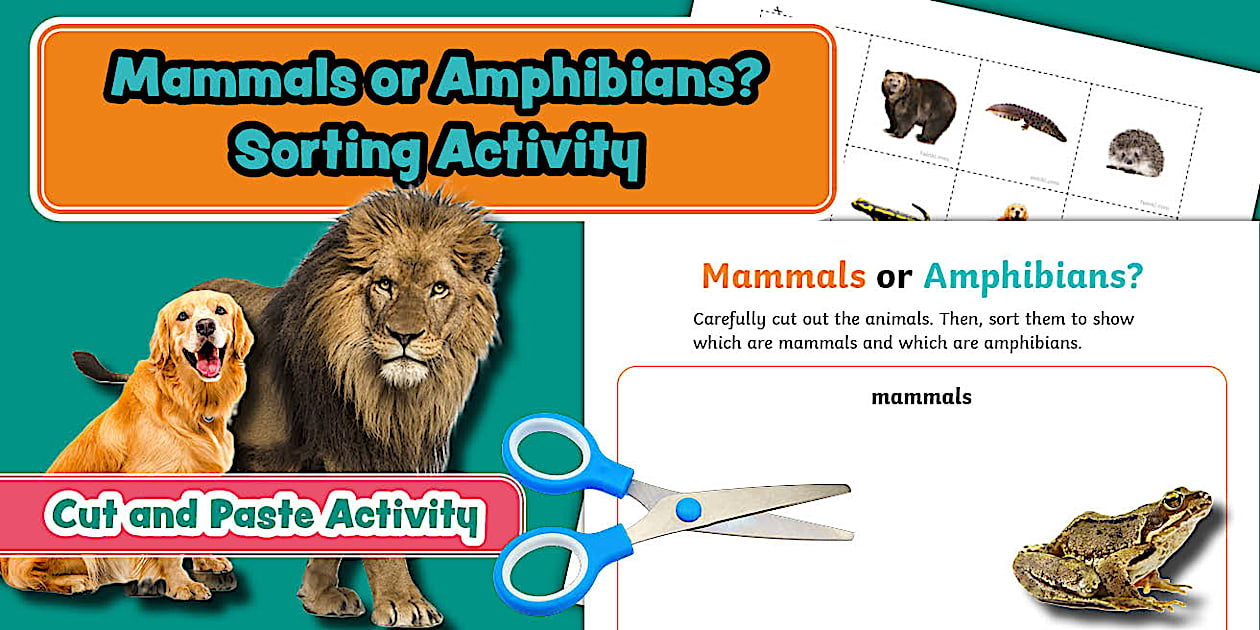 Mammals or Amphibians Sorting Activity