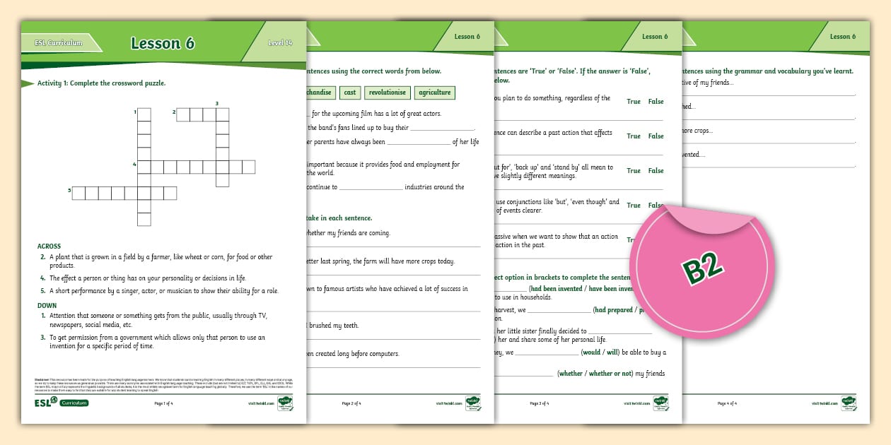 ESL Curriculum Level 14 Lesson 6 Activity Sheet