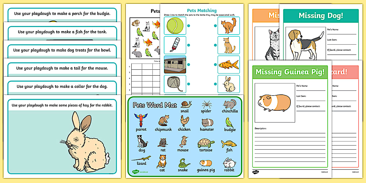 EYFS Pets Resource Pack (teacher made) - Twinkl