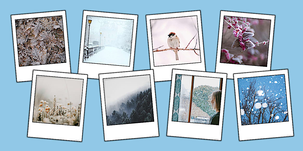 Winter Instant Photo Style Display Images - Twinkl