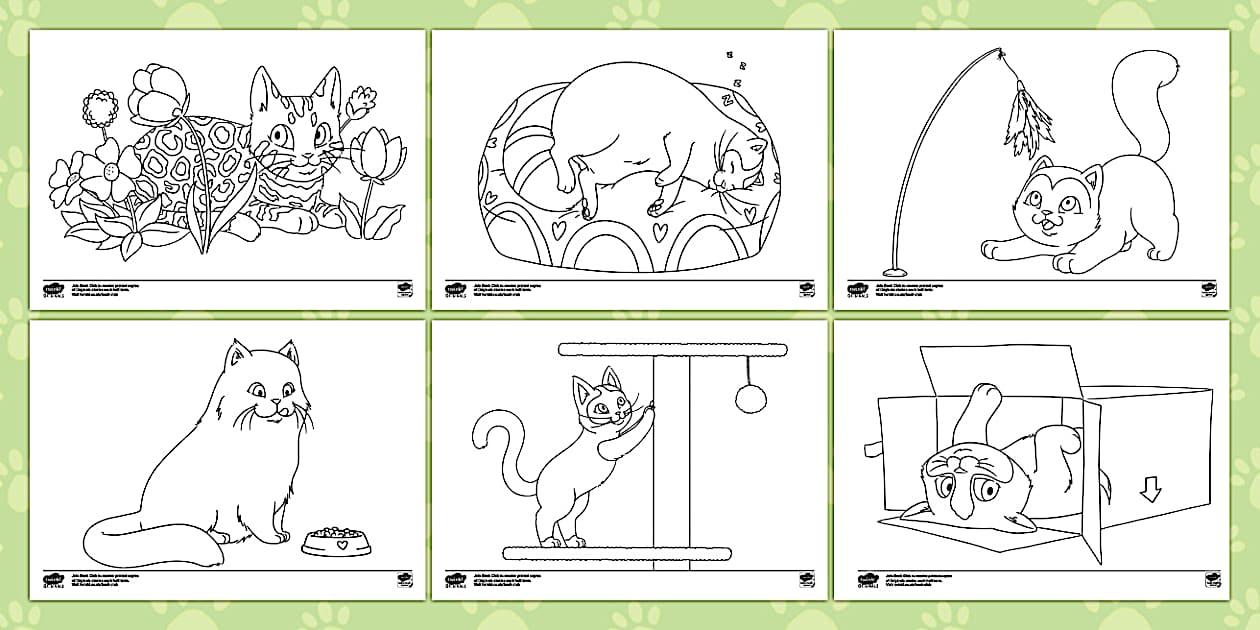 Cats Colouring Pages (teacher made) - Twinkl