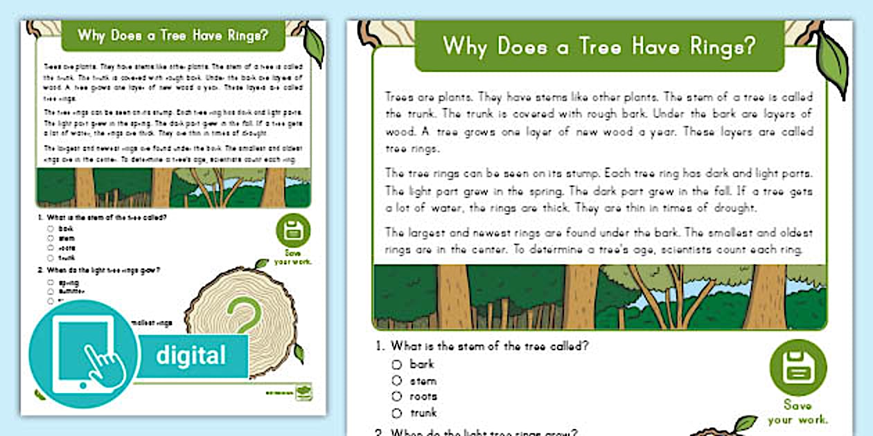 Tree Ring Reading Passage & Comprehension | Grade 2 | Twinkl