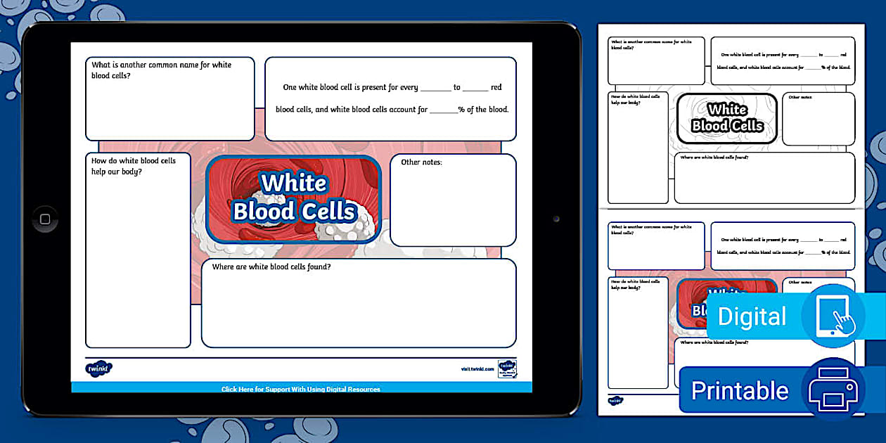 White Blood Cells Mind Map Worksheet for 6th-8th Grade