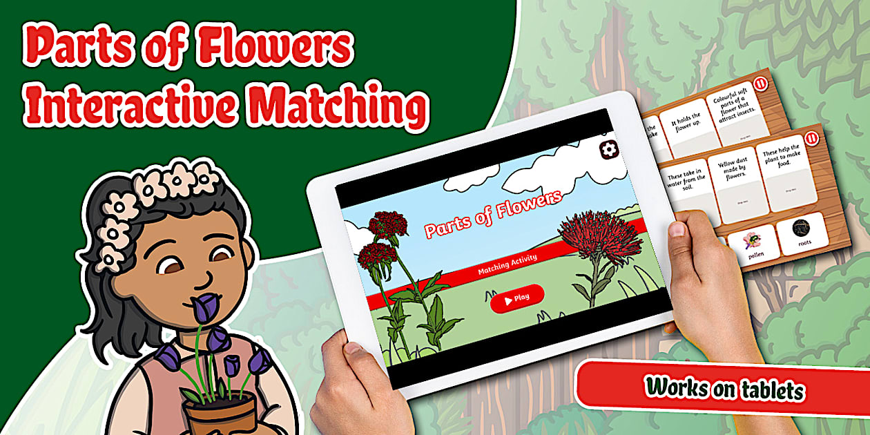 Parts of Flowers Interactive Matching
