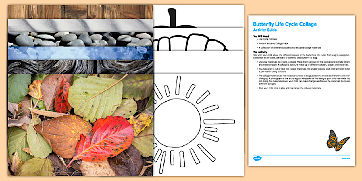 Butterfly Life Cycle Collage Busy Bag Resource Pack For Parents