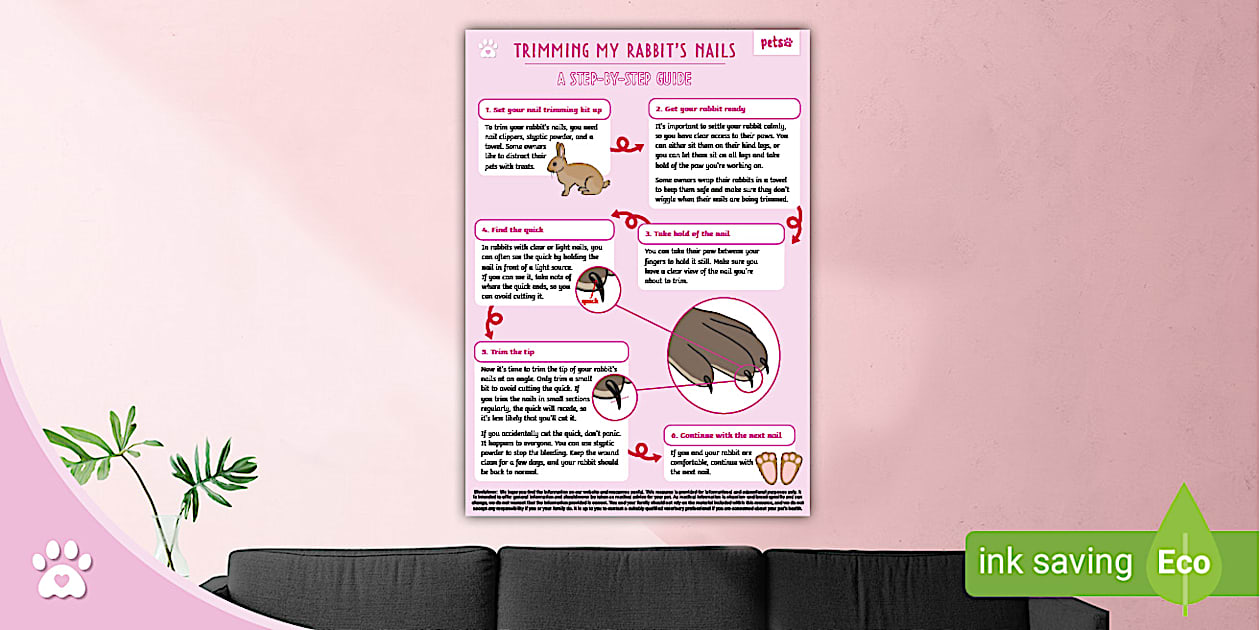 Trimming My Rabbit's Nails - Rabbit Nail Trimming Guide
