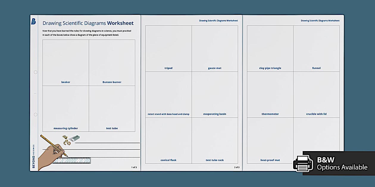 Drawing Scientific Diagrams Worksheet (Teacher-Made)