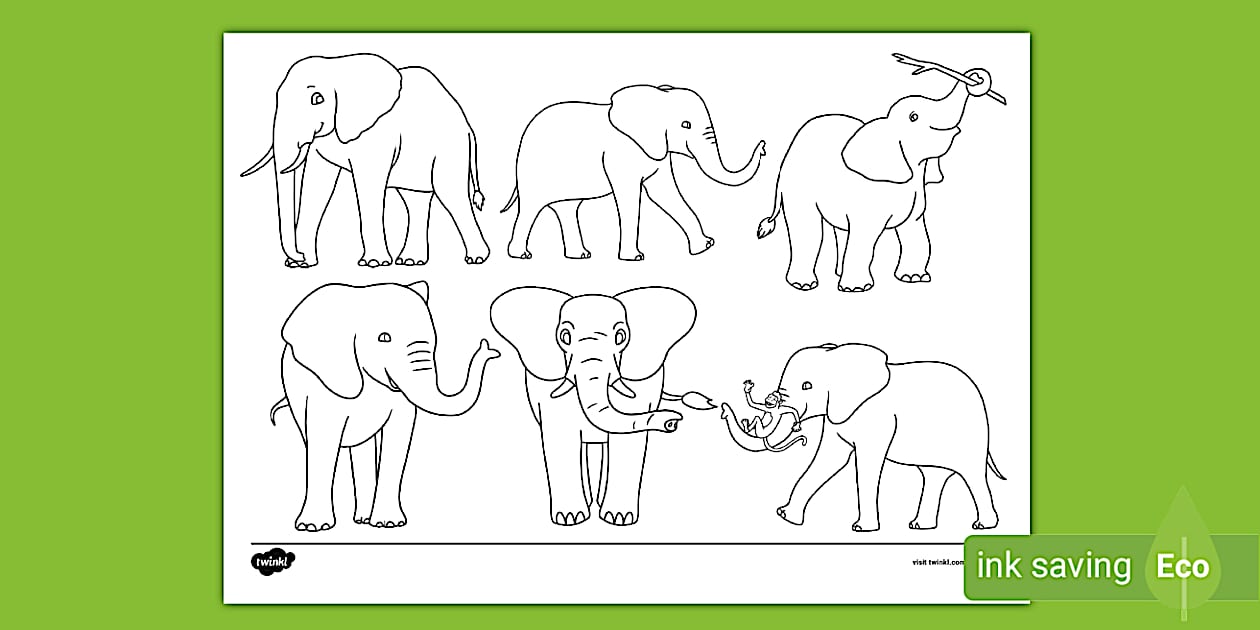 Elephant Doodle Colouring Page (teacher made) - Twinkl