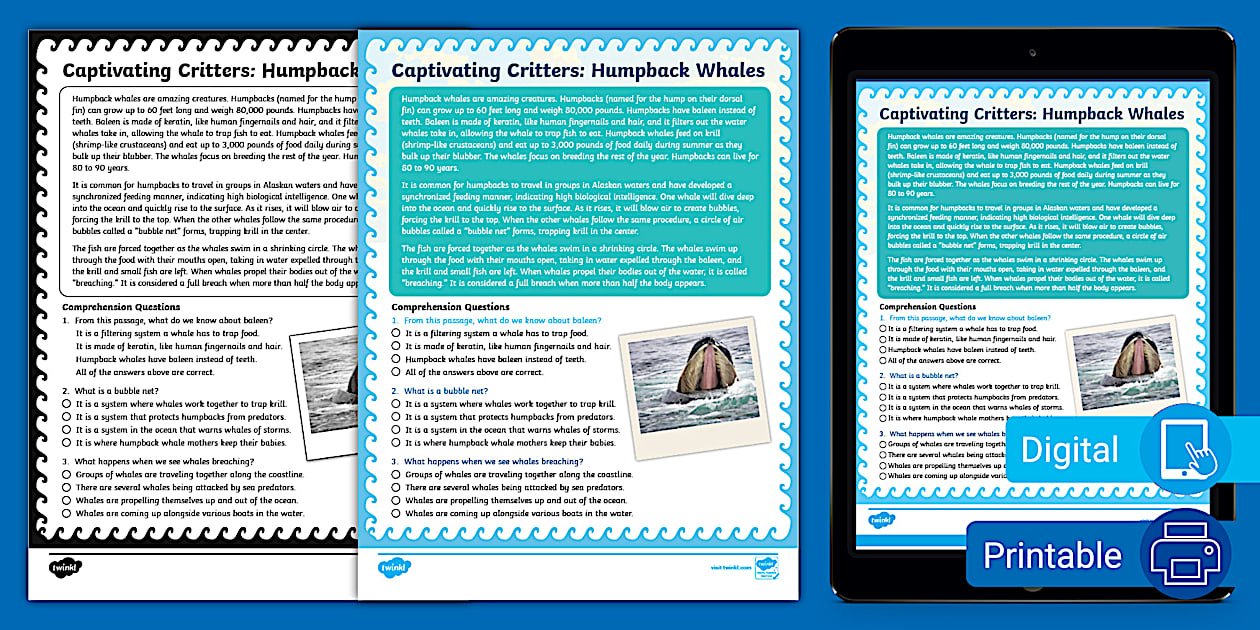 Eighth Gr. Humpback Whales Reading Comp. Worksheet - Twinkl