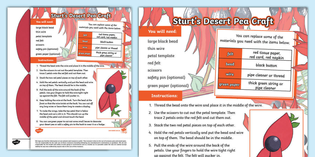 Sturt's Desert Pea Craft Activity (teacher made) - Twinkl