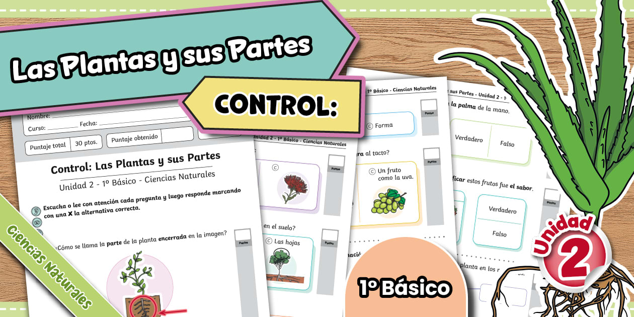 Control | Plantas | 1°| Ciencias | evaluación | unidad 2