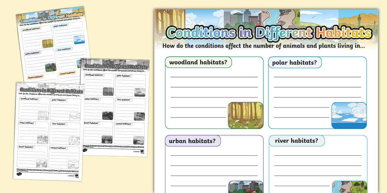 Conditions in Different Habitats Fact File Template - Twinkl