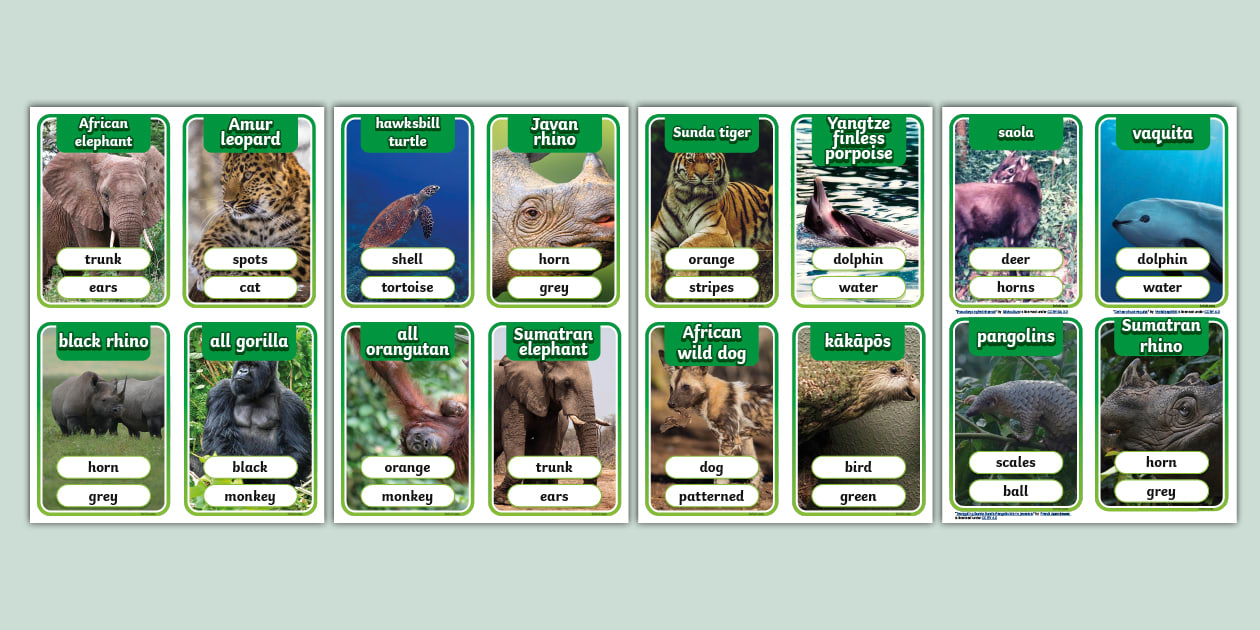 Endangered Species 'Leave It Out' Game Cards (teacher made)