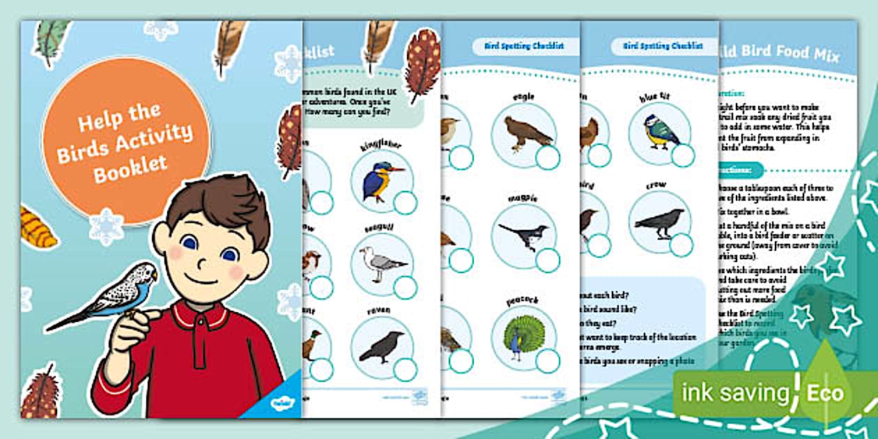 Help the Birds Activity Pack (teacher made) - Twinkl