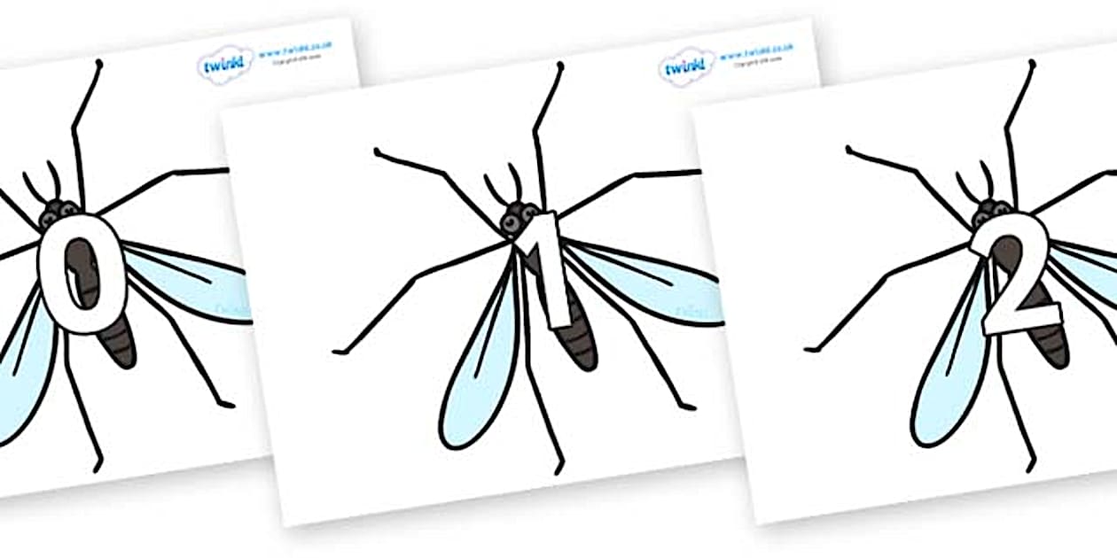Numbers 0-31 on Crane Flies (l'enseignant a fait) - Twinkl