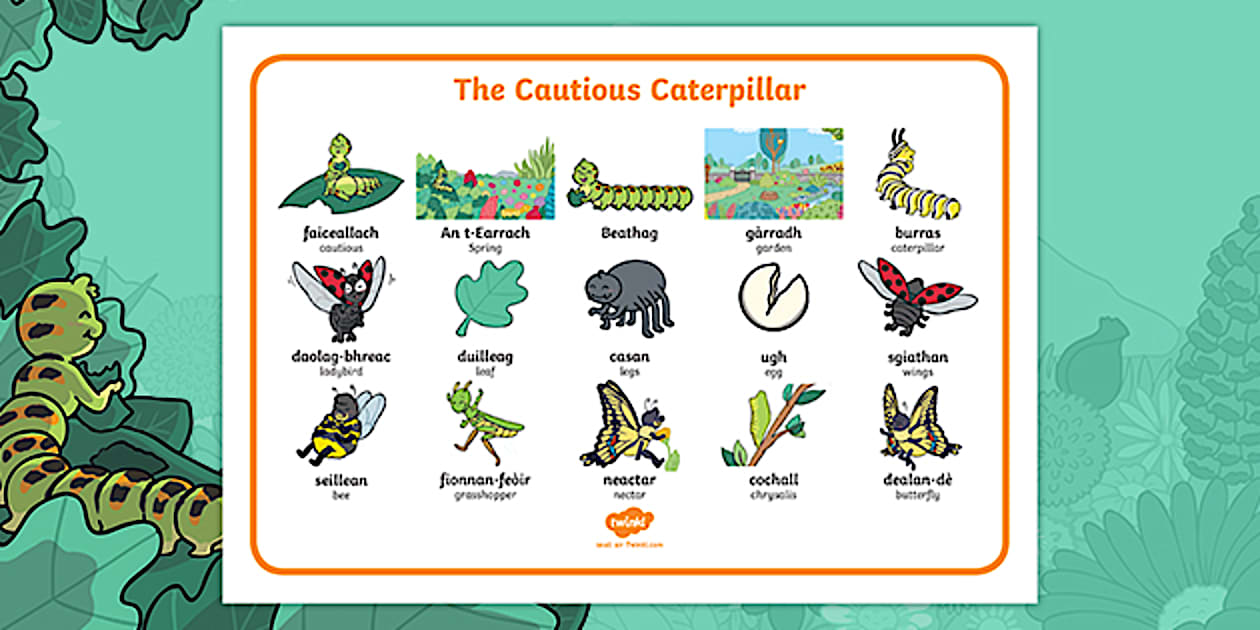 The Cautious Caterpillar Gaelic Word Mat (teacher made)