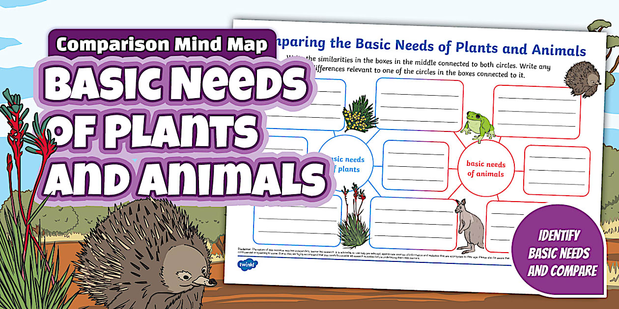 Basic Needs of Plants and Animals Comparison Mind Map