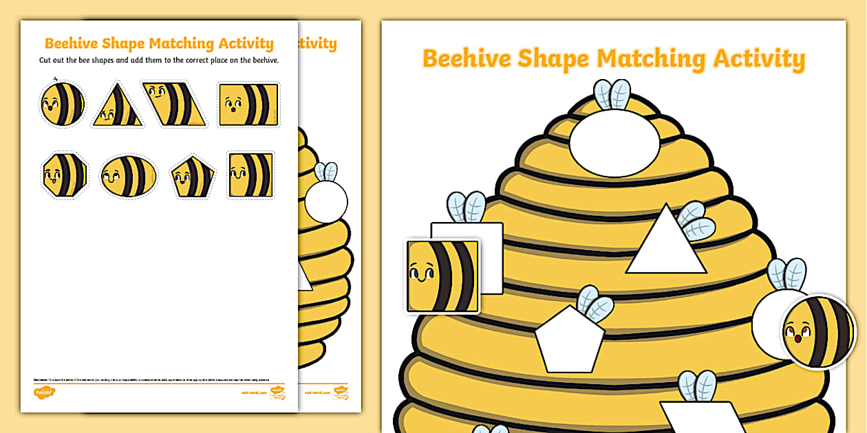 Bee Hive Shape Matching Activity | 2D Shapes | Twinkl | EYFS