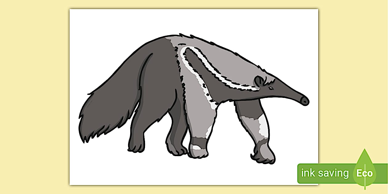 Large Anteater Display Cut-Out (teacher made) - Twinkl