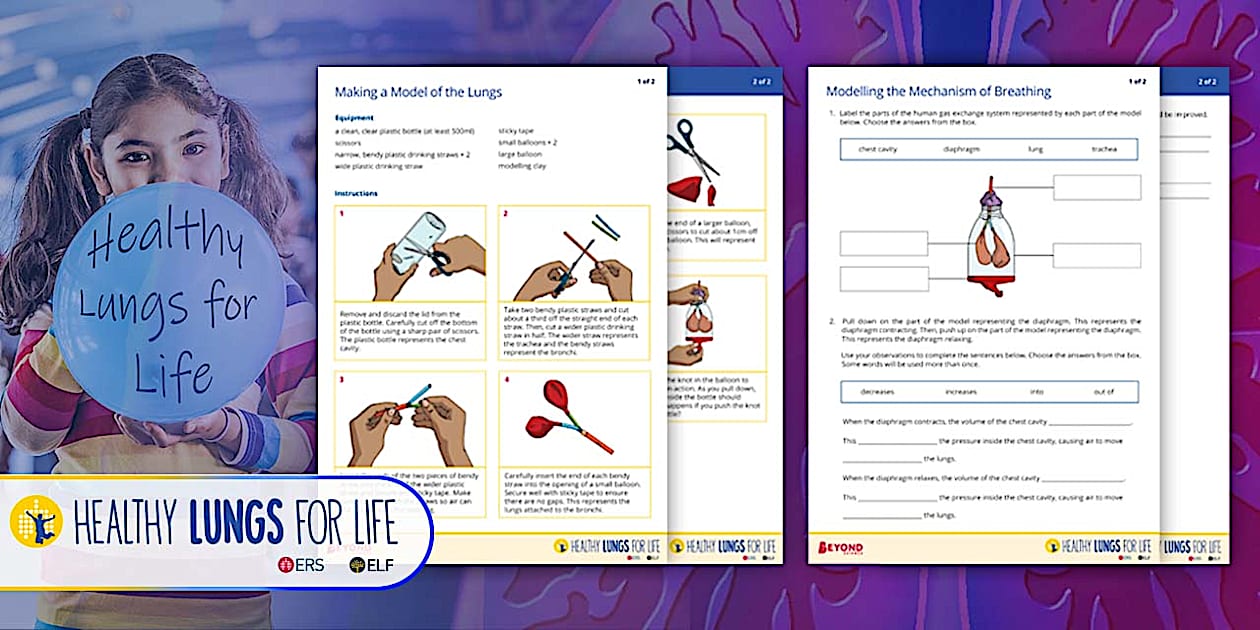 FREE! - Making a Lung Model DIY Activity | Beyond - Twinkl