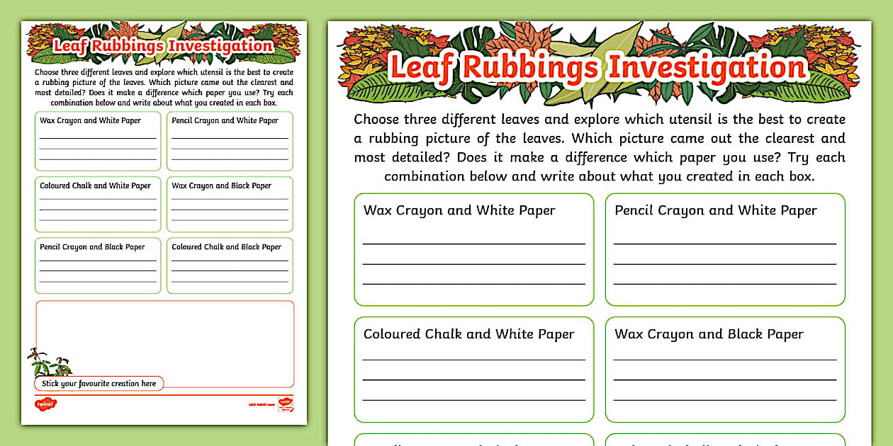 Leaf Rubbings Investigation Worksheet (teacher made)