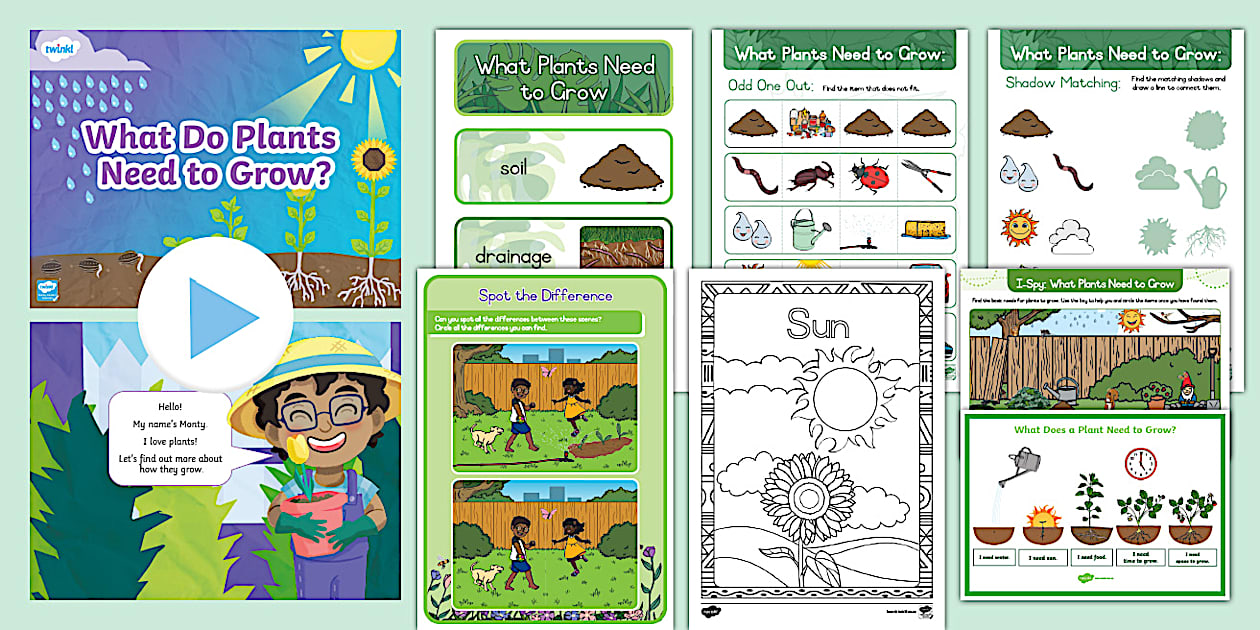 What Do Plants Need to Grow Preschool Resource Pack | Twinkl