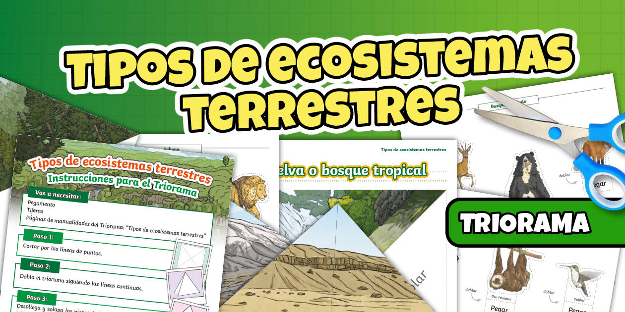 Triorama: Ecosistemas Terrestres - Twinkl Colombia