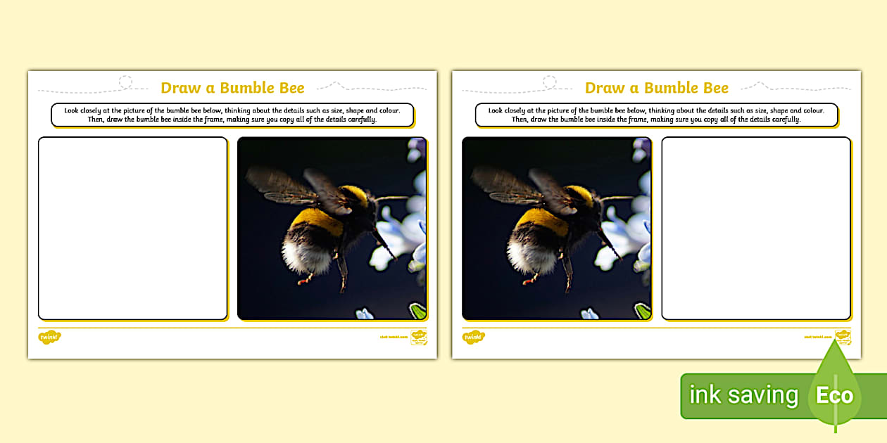Bumblebee Drawing Worksheet | Twinkl World Bumblebee Day