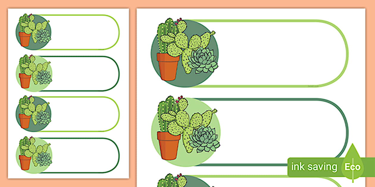 Editable Succulent Cactus Themed Tray Labels - Twinkl
