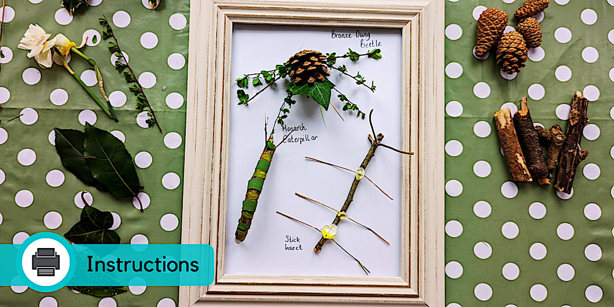 Nature Bugs | Crafts Made From Nature Materials - Twinkl