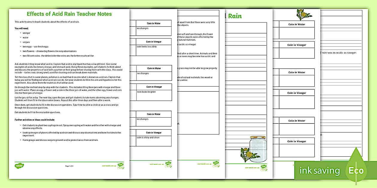 Effects of Acid Rain Activity | Experiment | Twinkl - Twinkl
