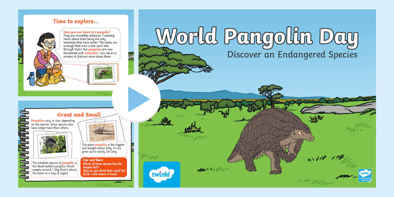 World Pangolin Day KS1 Powerpoint (Lehrer gemacht) - Twinkl