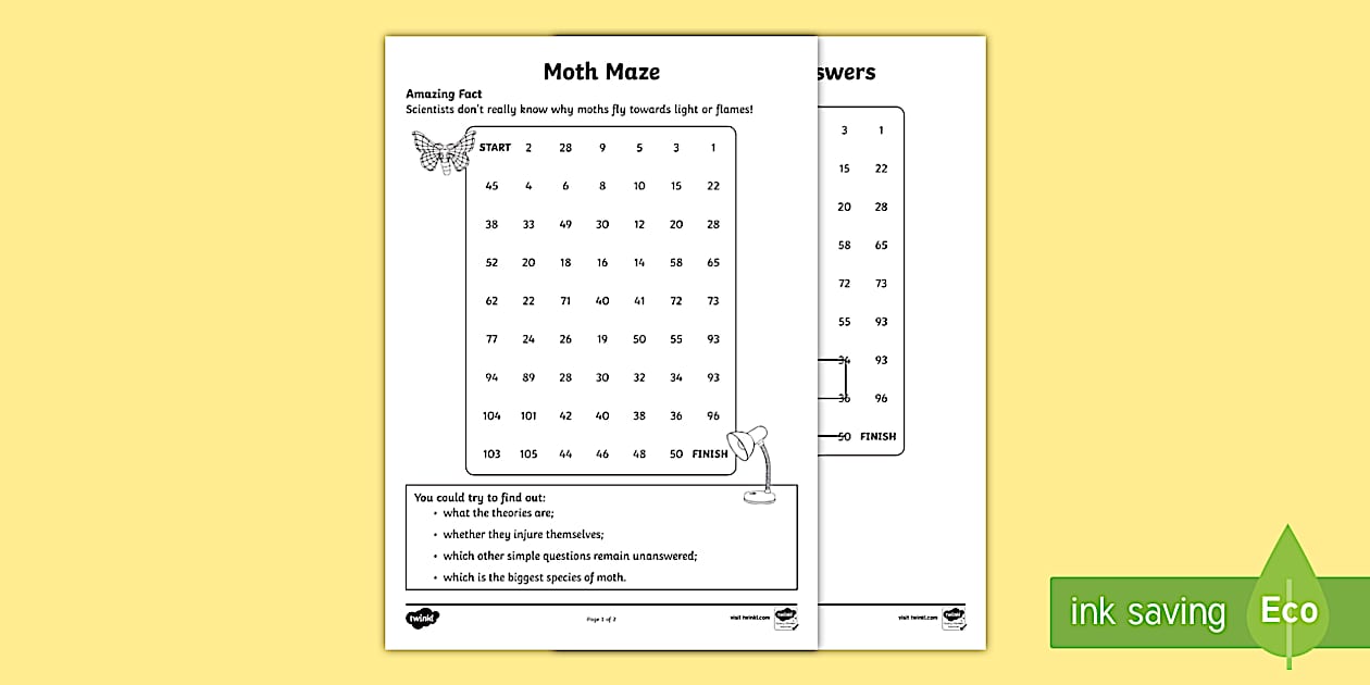 Moth Counting in 2s Maze Worksheet / Worksheet - Twinkl