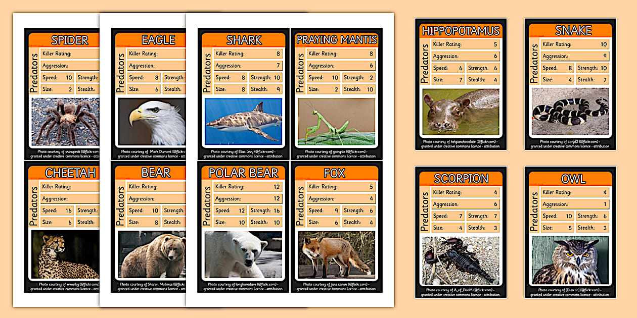Editable Top Trumps Predators Card Game (teacher made)