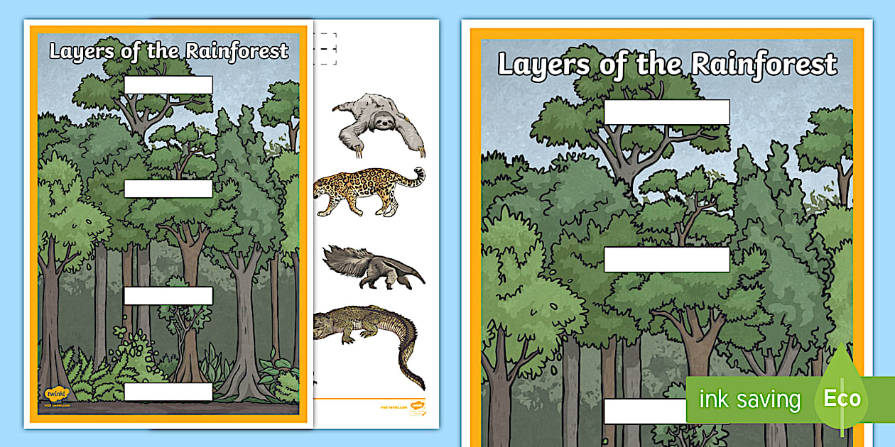 Layers of the Rainforest Habitat Cut and Stick Activity