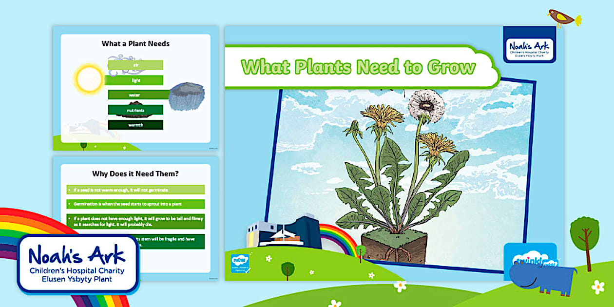 FREE! - What Plants Need to Grow Powerpoint - Twinkl
