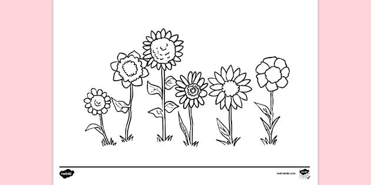 Flower Garden Colouring Page | Colouring Sheets - Twinkl